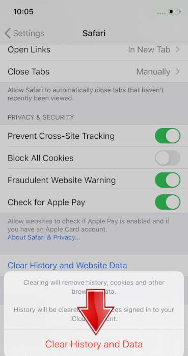 How To Clear Browsing Data In IPhone 13 Pro? - MobileSum United States ...